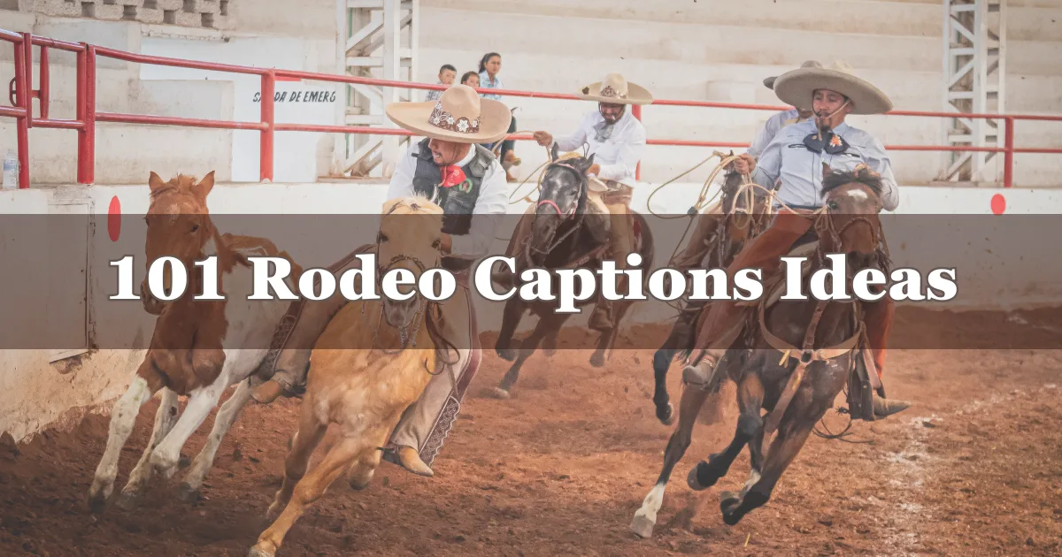 Rodeo Quotes And Sayings